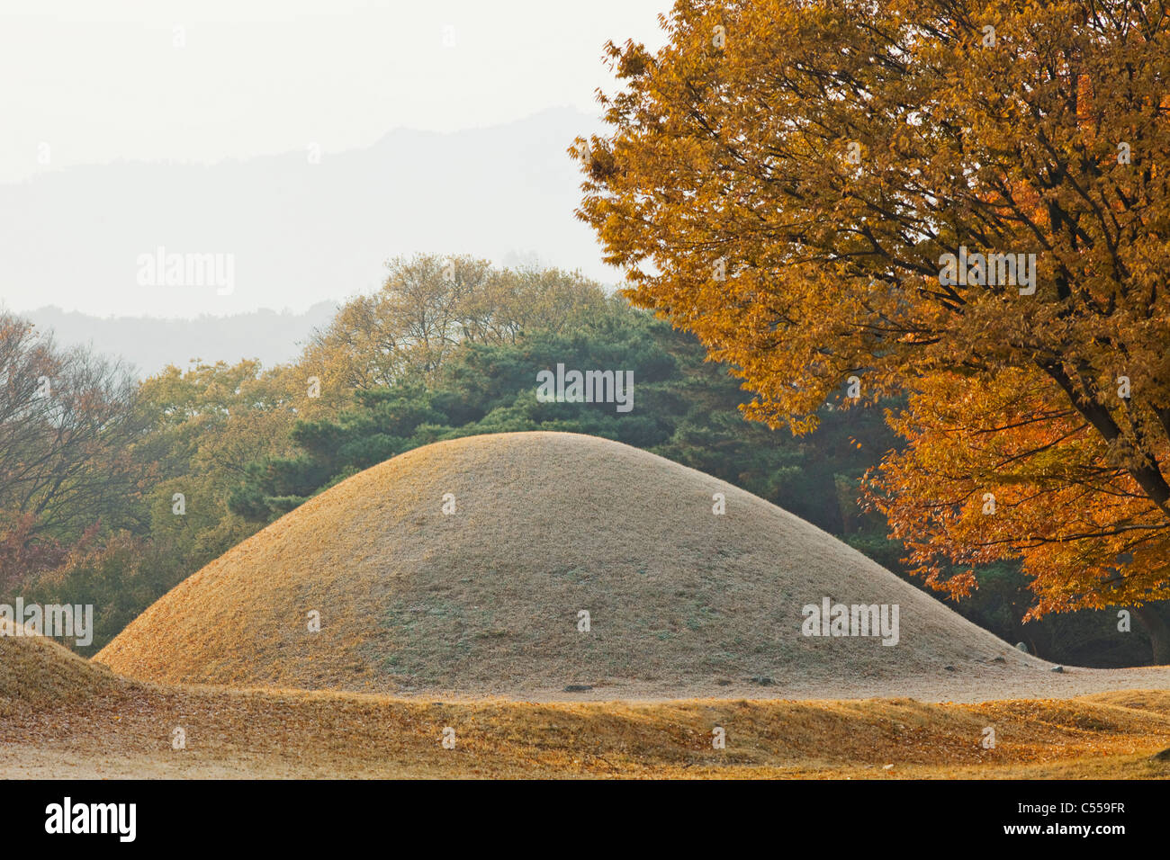 Mound tomb in a park, Royal Tomb Of King Naemul Of Silla, Gyeongju ...
