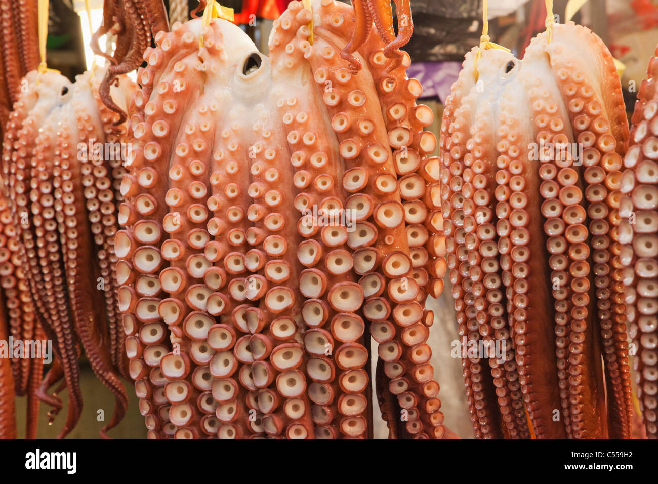 Octopuses at a fish market hi-res stock photography and images - Alamy