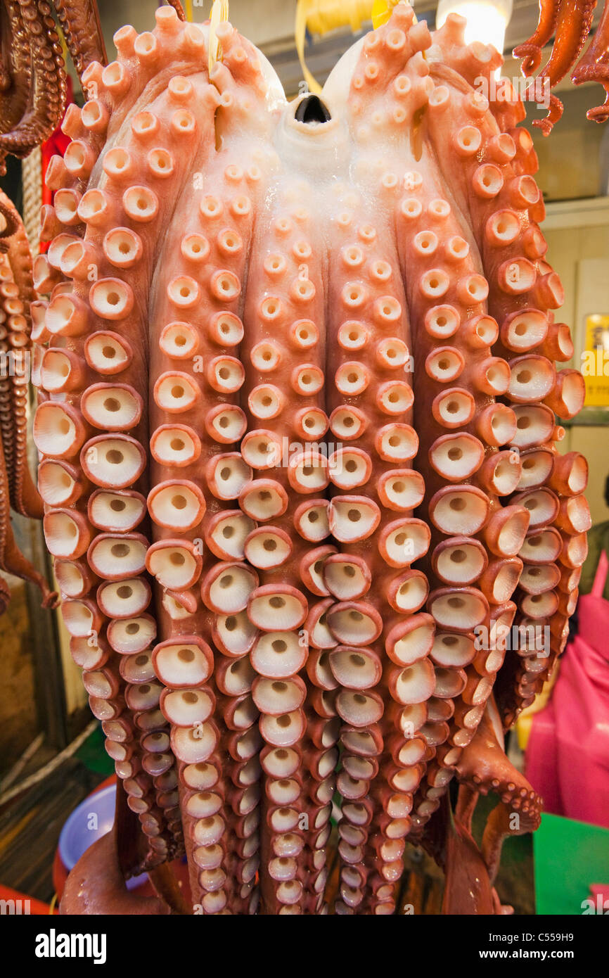 Octopus for sale at a market, Gyeongju Market, Gyeongju, South Korea ...
