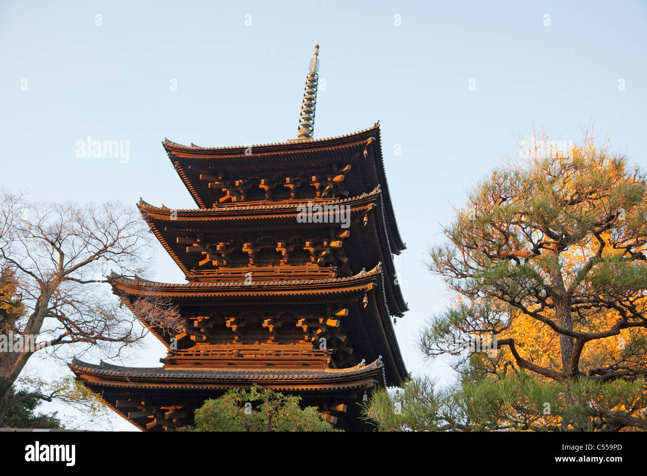 Toji kyoto view hi-res stock photography and images - Alamy