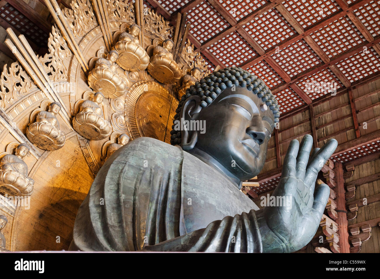 Statue of Buddha in a temple, Todaiji Temple, Nara city, Nara ...