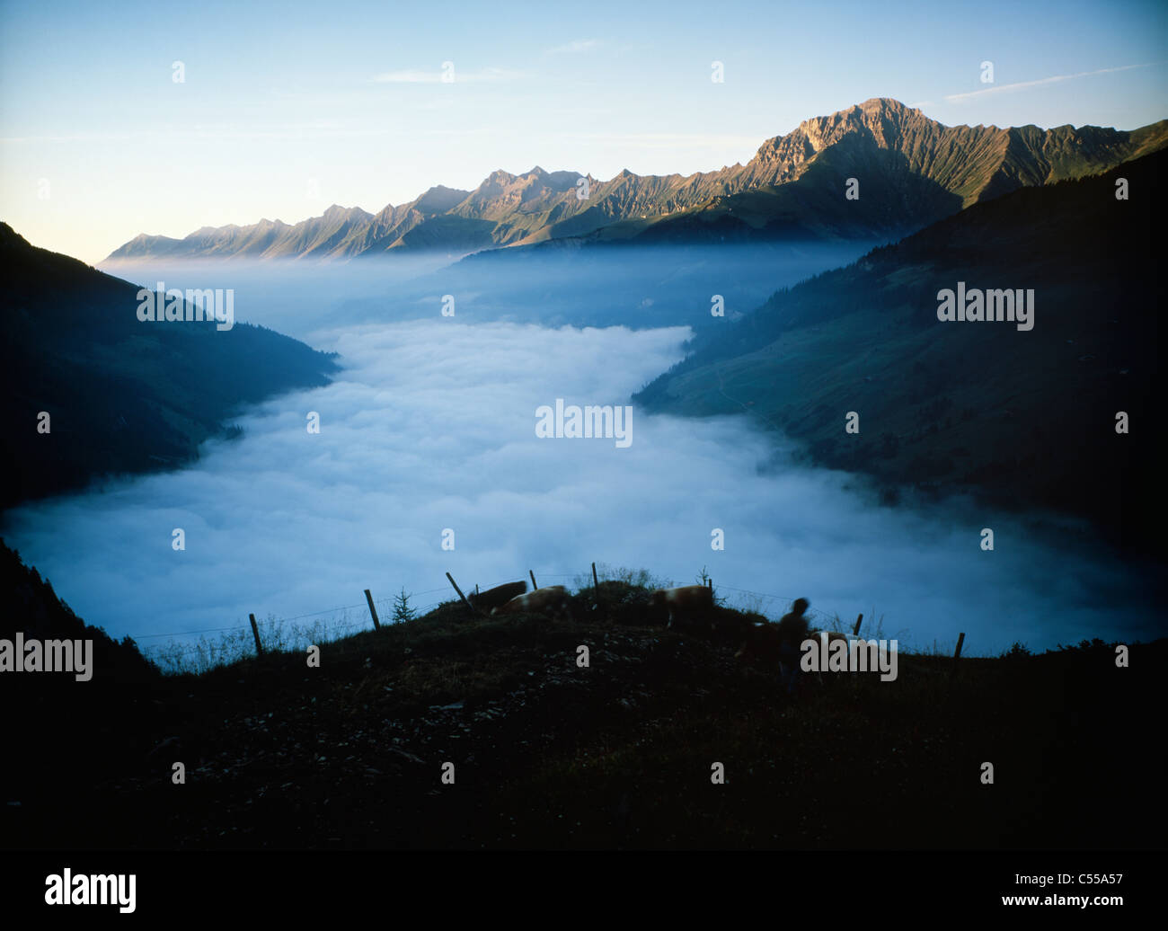 Mountain range at riverside, Berne Canton, Switzerland Stock Photo - Alamy
