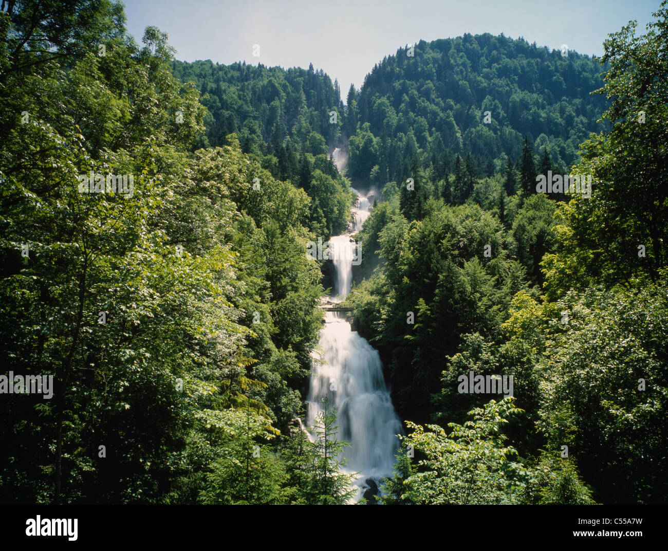 Waterfall in a forest, Giessbach Waterfalls, Brienz, Interlaken, Berne ...