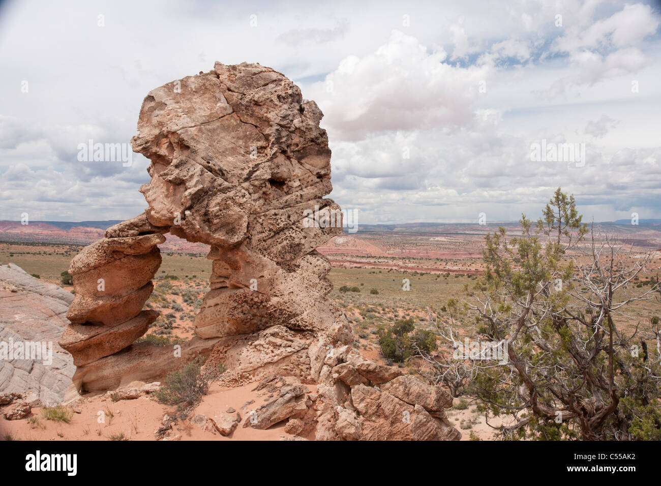 USA, Arizona, Vermillion Cliffs, Natural arch Stock Photo - Alamy