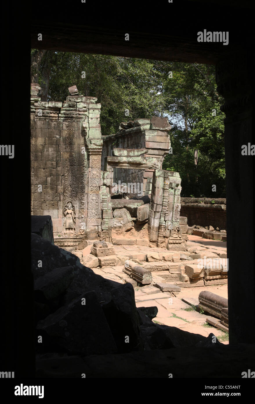 Section of ruins of Ta Phrom temple, Angkor Wat, Siem Reap, Cambodia ...