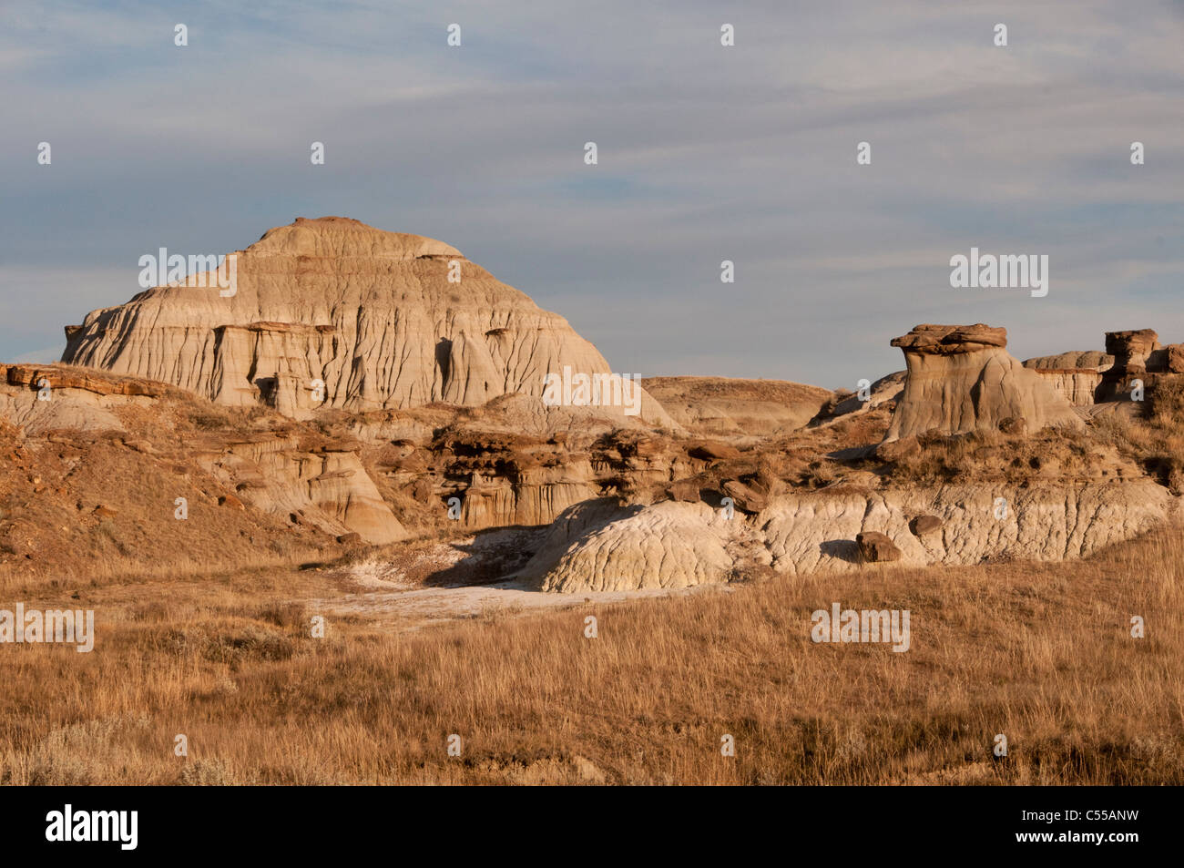 Rock formations in a desert, Dinosaur Provincial Park, Brooks, Alberta ...