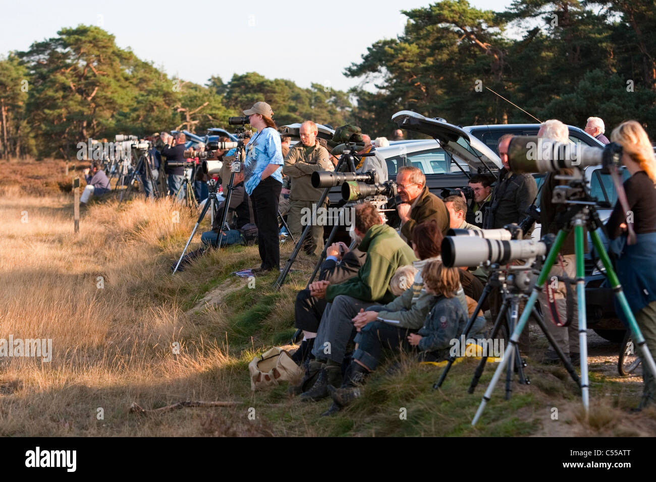 The Netherlands, Otterlo, National Park called De Hoge Veluwe ...