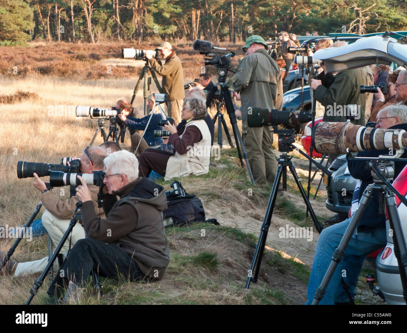 The Netherlands, Otterlo, National Park called De Hoge Veluwe ...