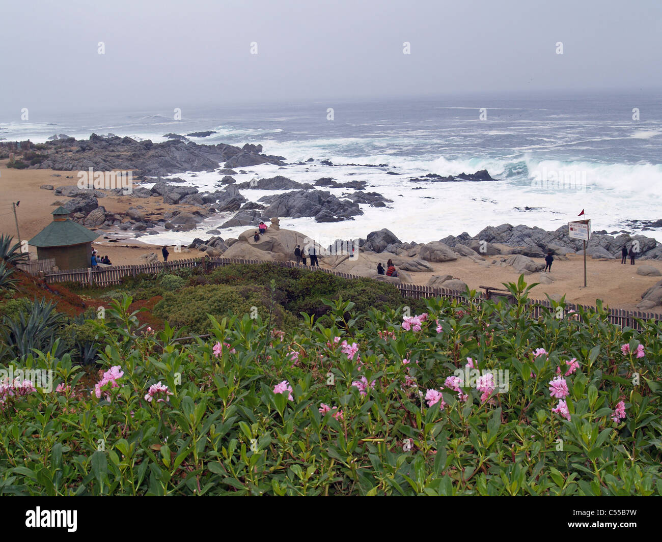 Ocean view from house of Pablo Neruda, Isla Negra, Chile Stock Photo ...
