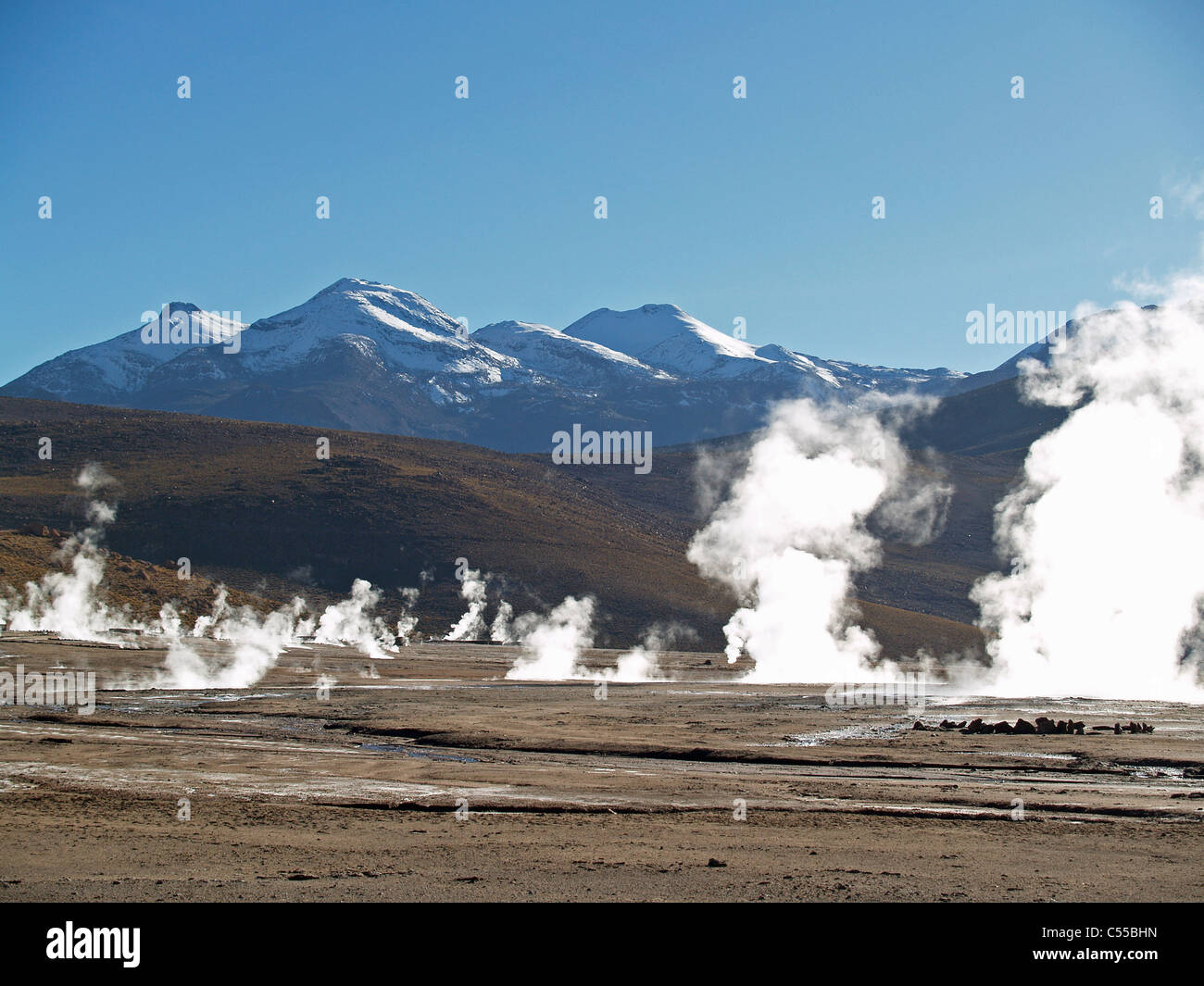 El Tatio Geyser field at sunrise, Chile Stock Photo - Alamy