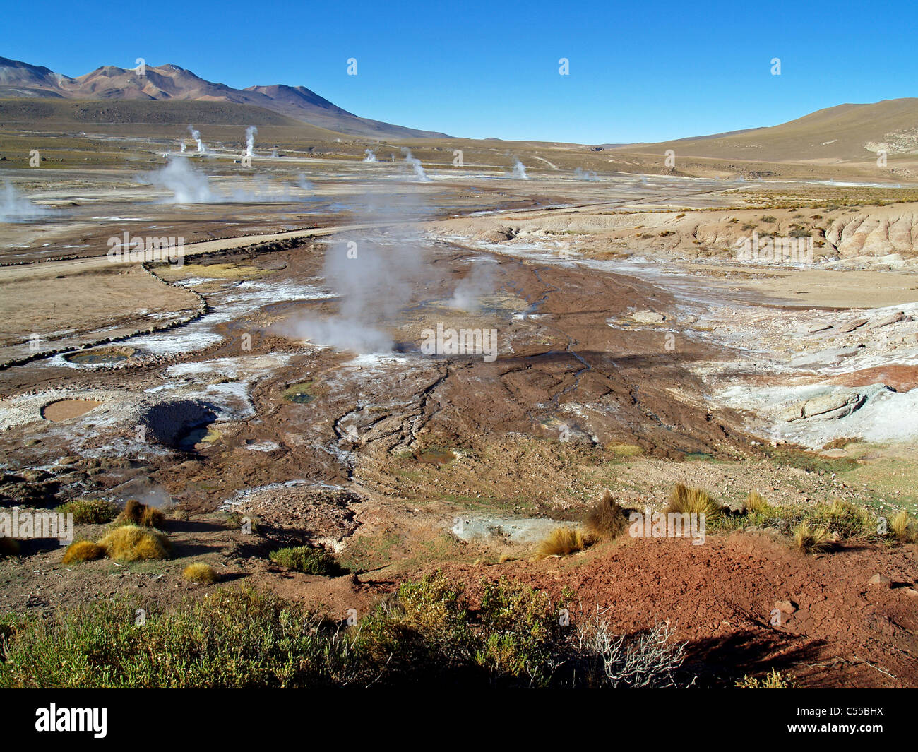 Highest geyser field in the world hi-res stock photography and images ...