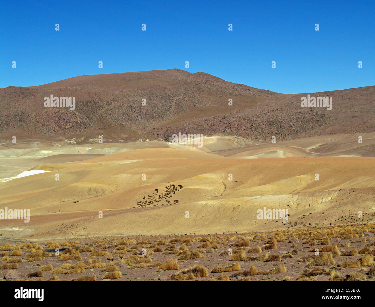 Desert Fall Colors High Resolution Stock Photography and Images - Alamy