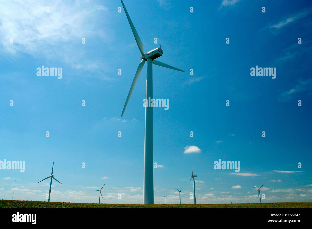 Wind turbines in a field, Minnesota, USA Stock Photo - Alamy