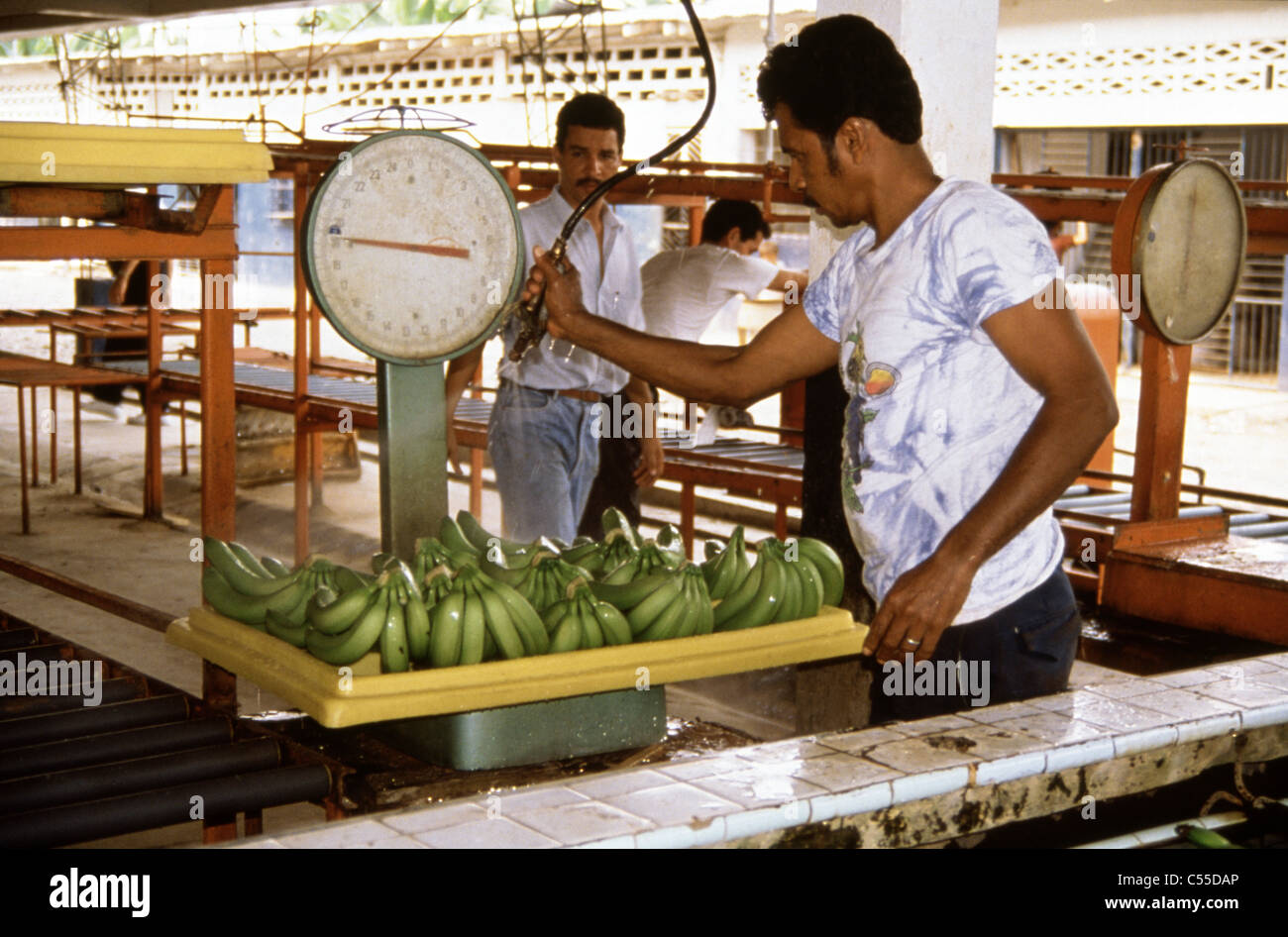 Washing bananas hi-res stock photography and images - Alamy