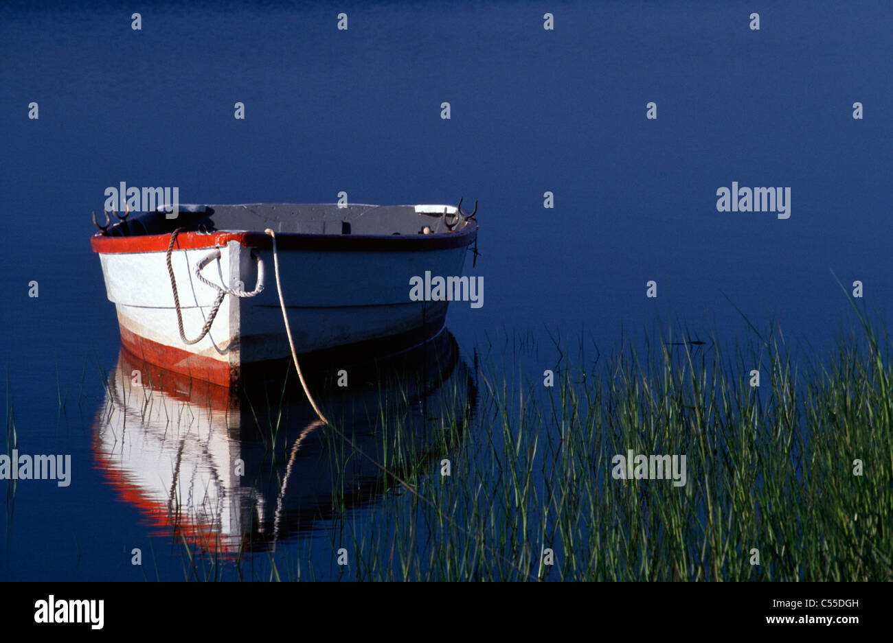 Boat moored in the sea, Cape Cod, Massachusetts, USA Stock Photo - Alamy