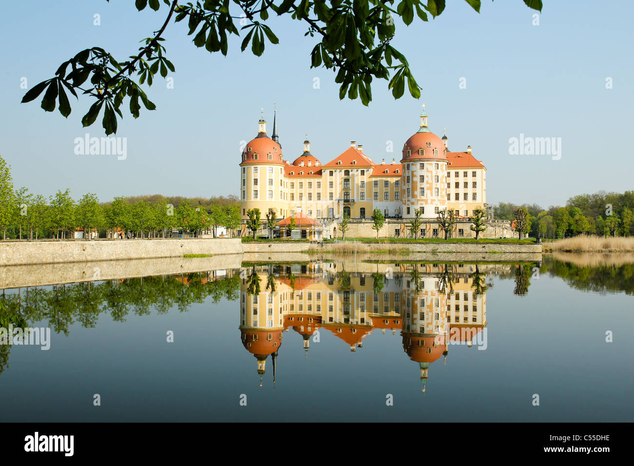 Moritzburg castle hi-res stock photography and images - Alamy