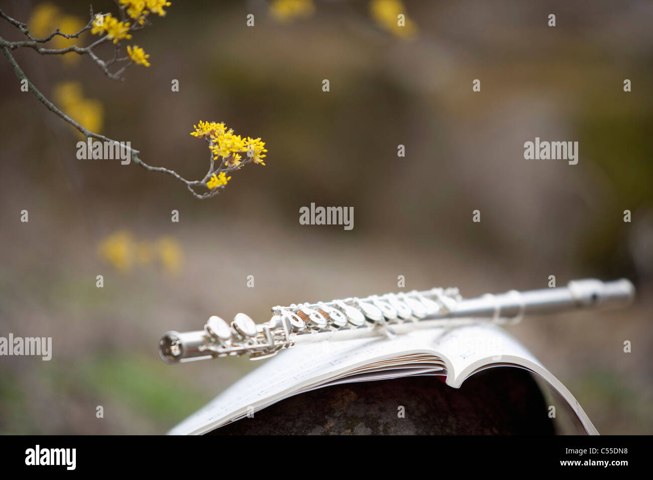 Flute in spring scenery hi-res stock photography and images - Alamy