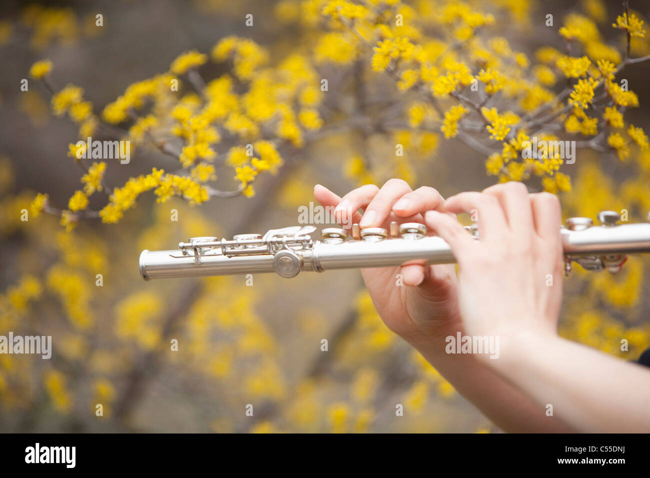 playing flute in spring times Stock Photo - Alamy