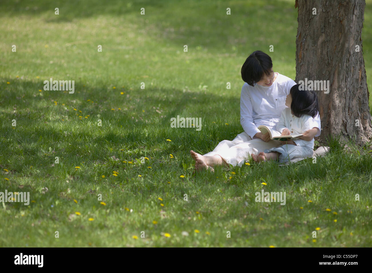 Two people reading a book Stock Photo: 37614591 - Alamy