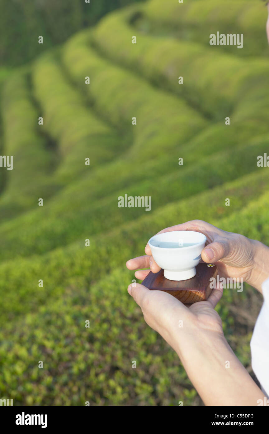 Teacup body hi-res stock photography and images - Alamy