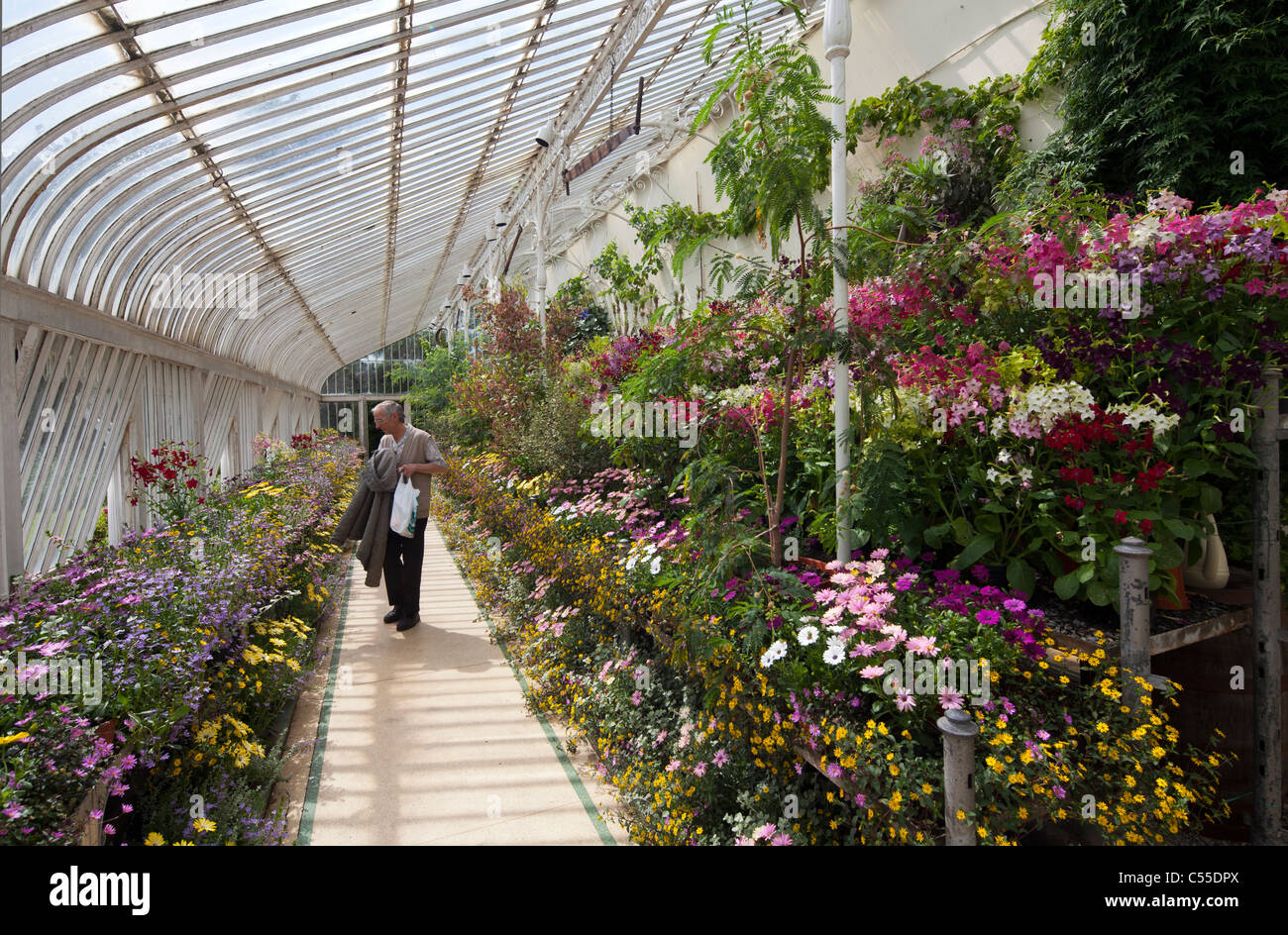 Palm House, Botanic Gardens, Belfast, Northern Ireland, UK Stock Photo ...