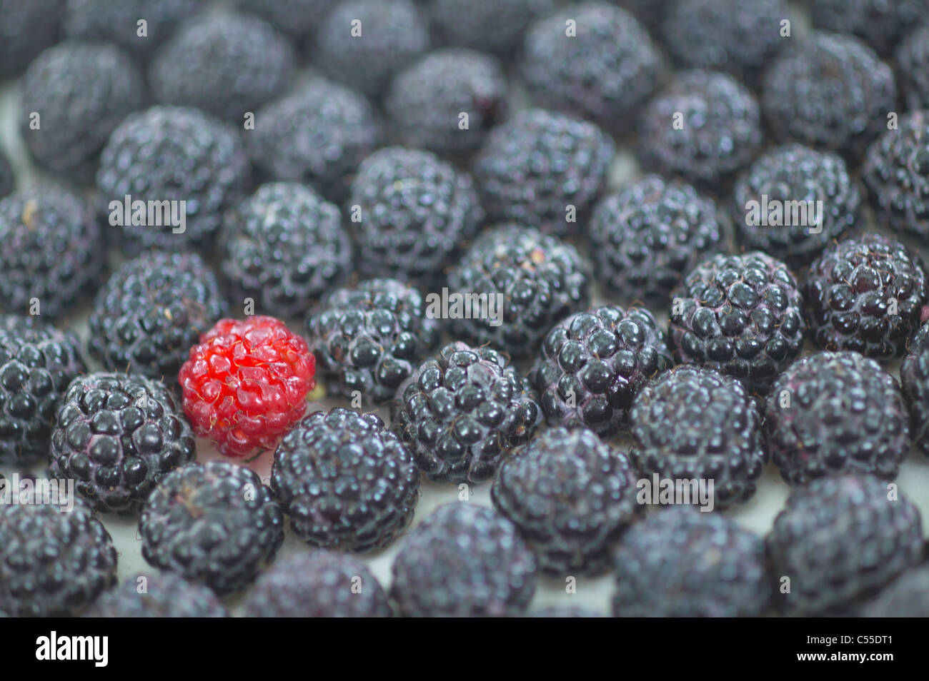 Black red hi-res stock photography and images - Alamy