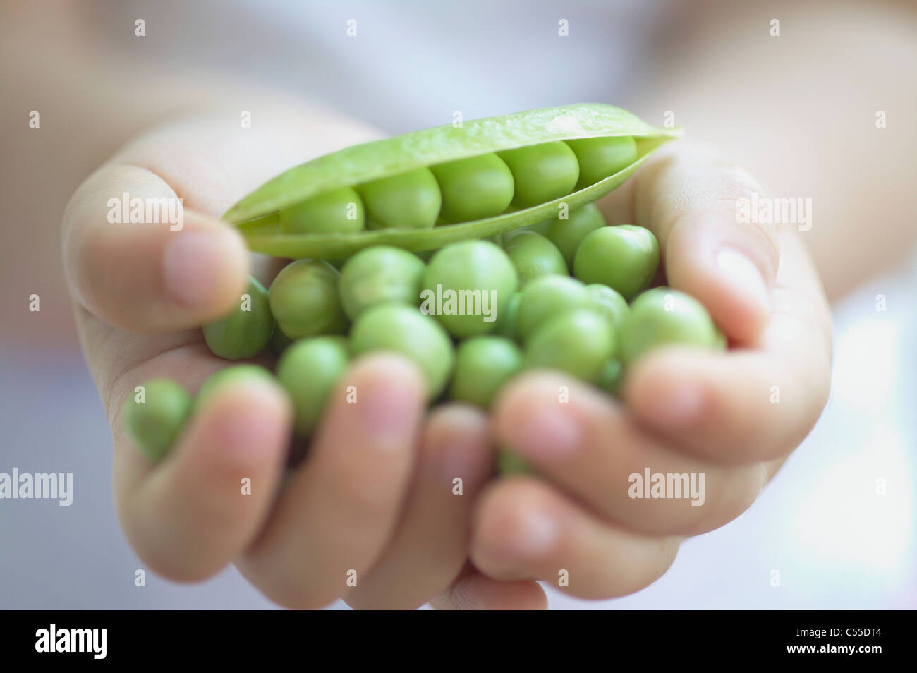 Hand full of green beans Stock Photo - Alamy
