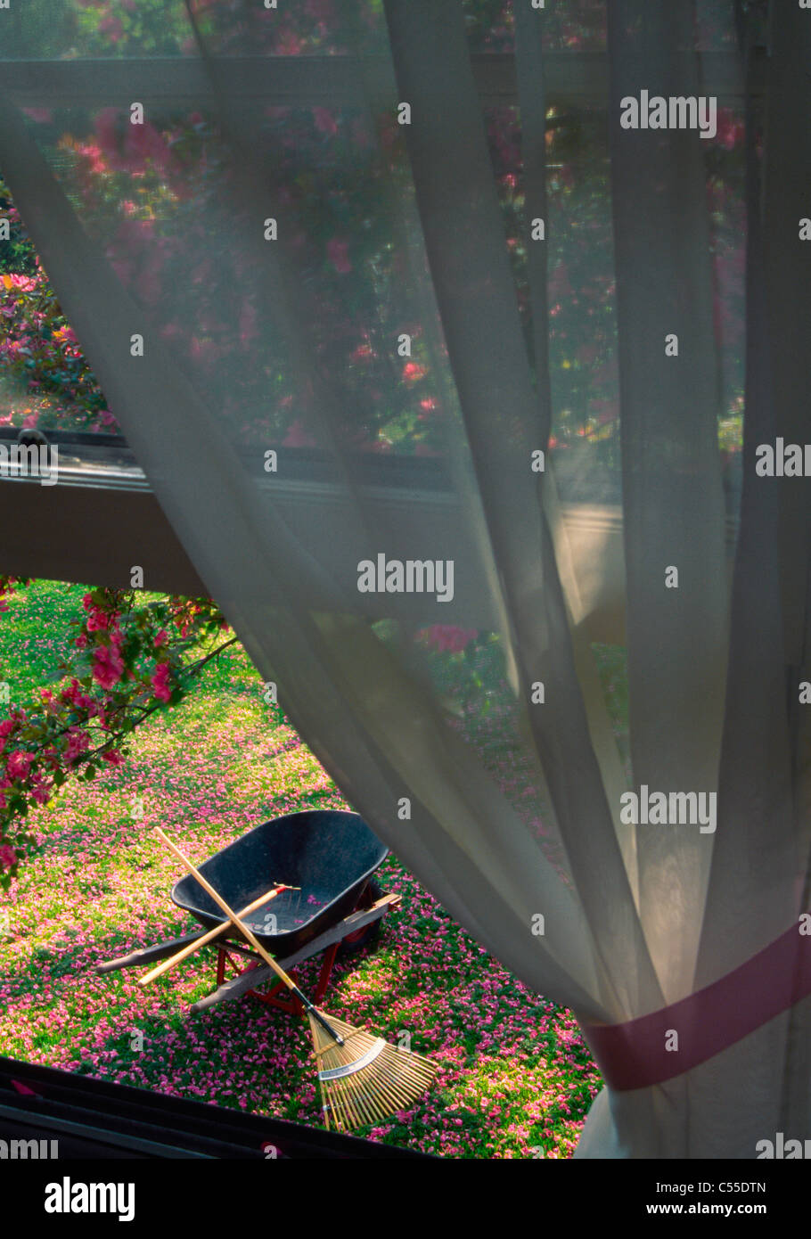 Wheelbarrow window view hi-res stock photography and images - Alamy
