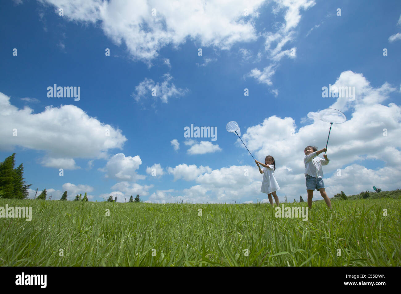 Butterfly catcher hi-res stock photography and images - Alamy