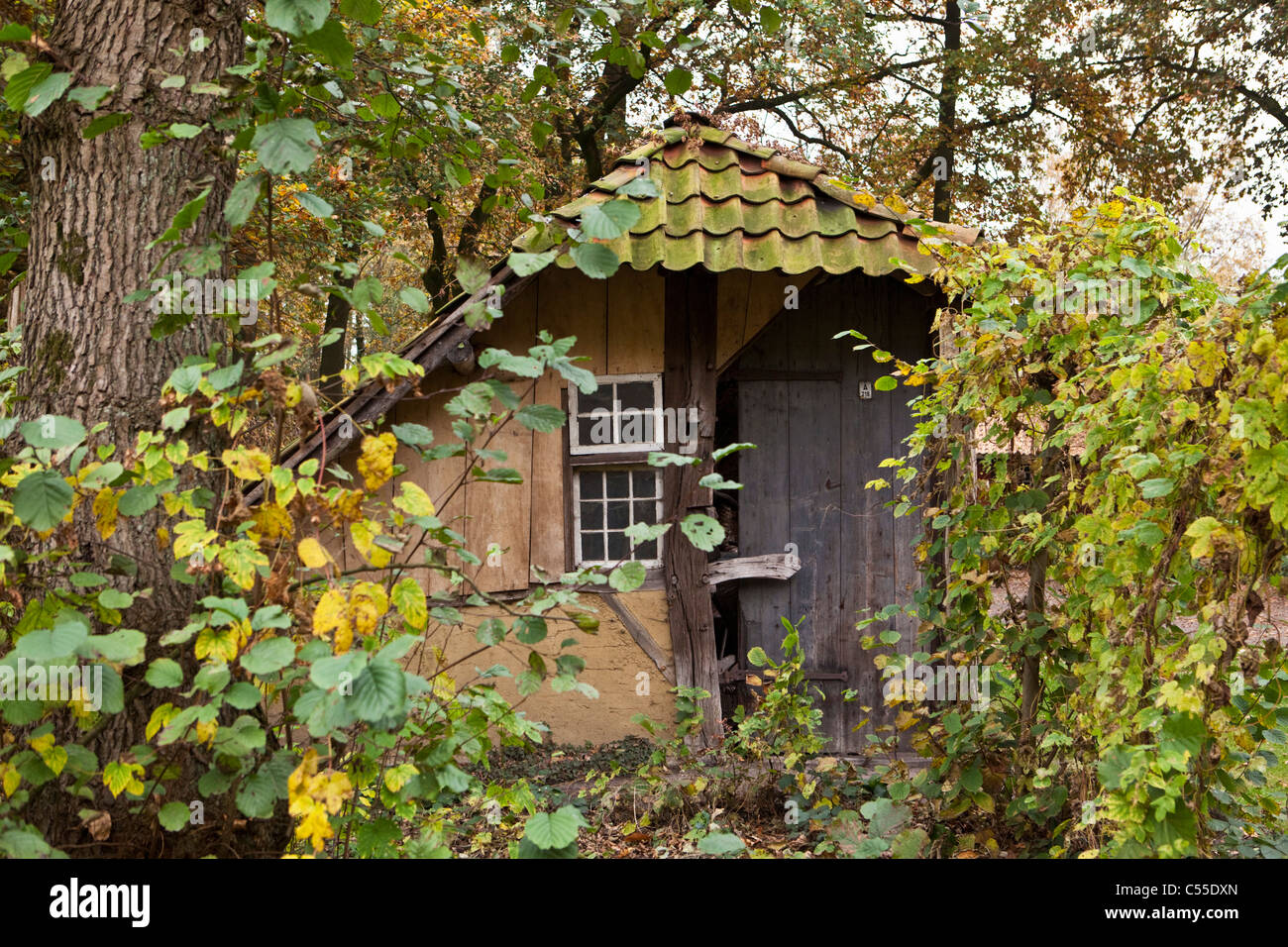 The Netherlands, Lievelde, Open air historical village, museum Erve ...