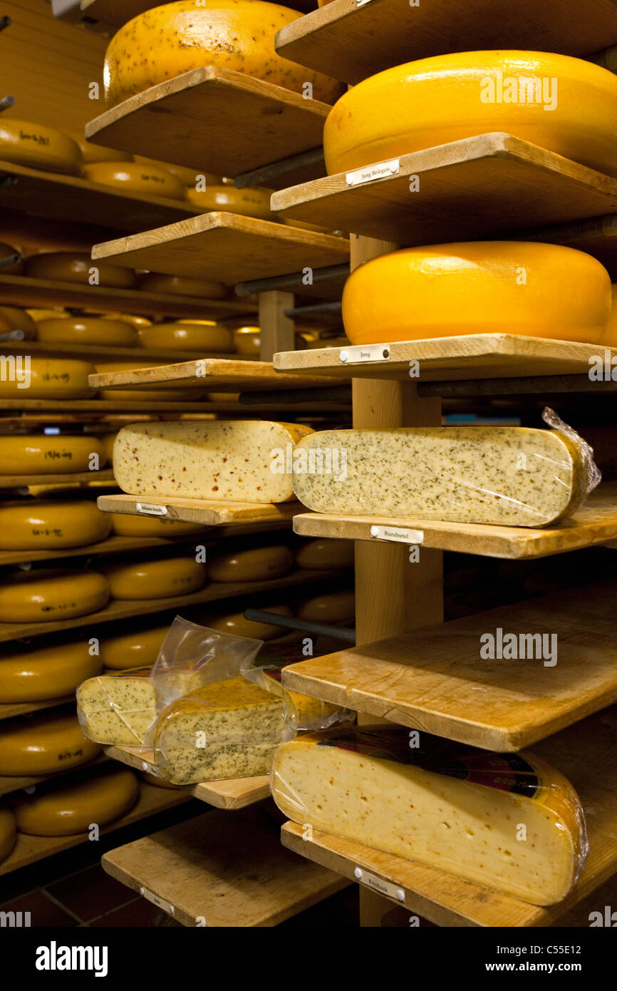 The Netherlands, Lievelde, Open air historical village, museum Erve ...