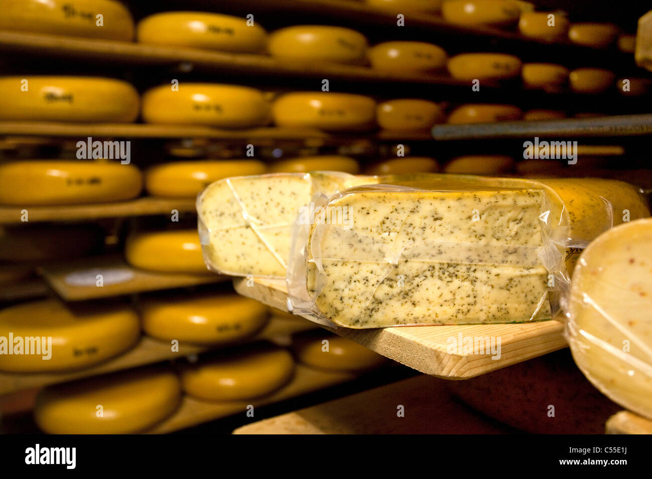 The Netherlands, Lievelde, Open air historical village, museum Erve ...