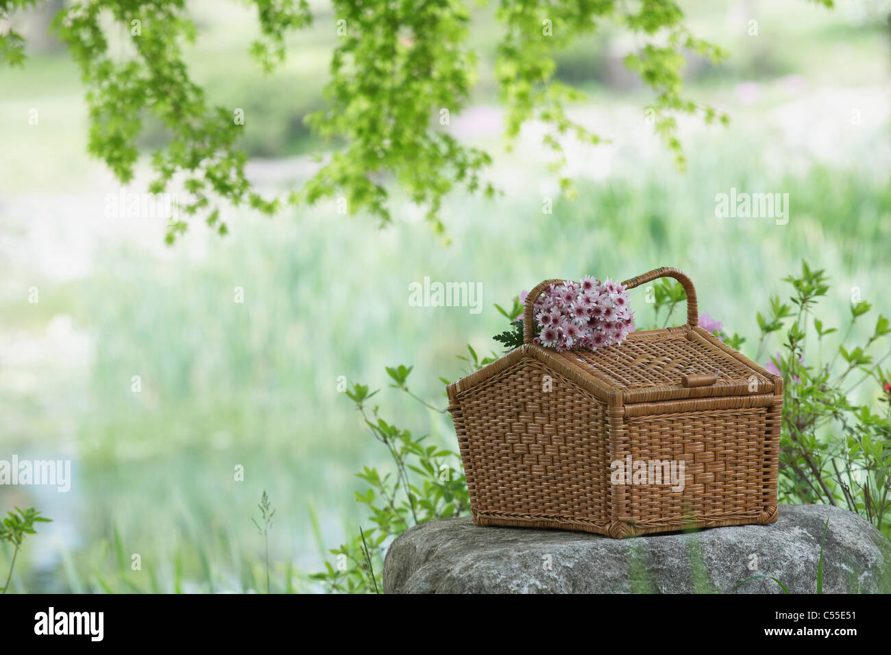 A picnic basket on the rock Stock Photo - Alamy