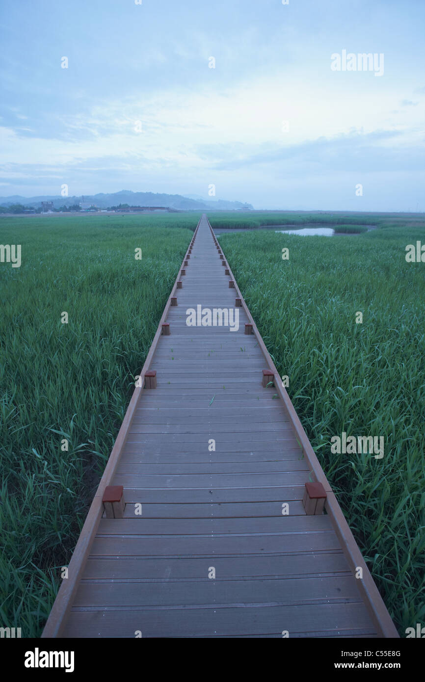 Wood road in grassland Stock Photo - Alamy