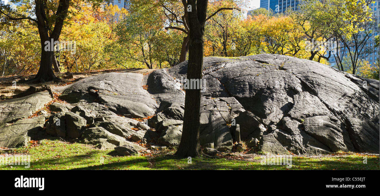 Granite outcrop in a park, Central Park, Manhattan, New York City, New ...