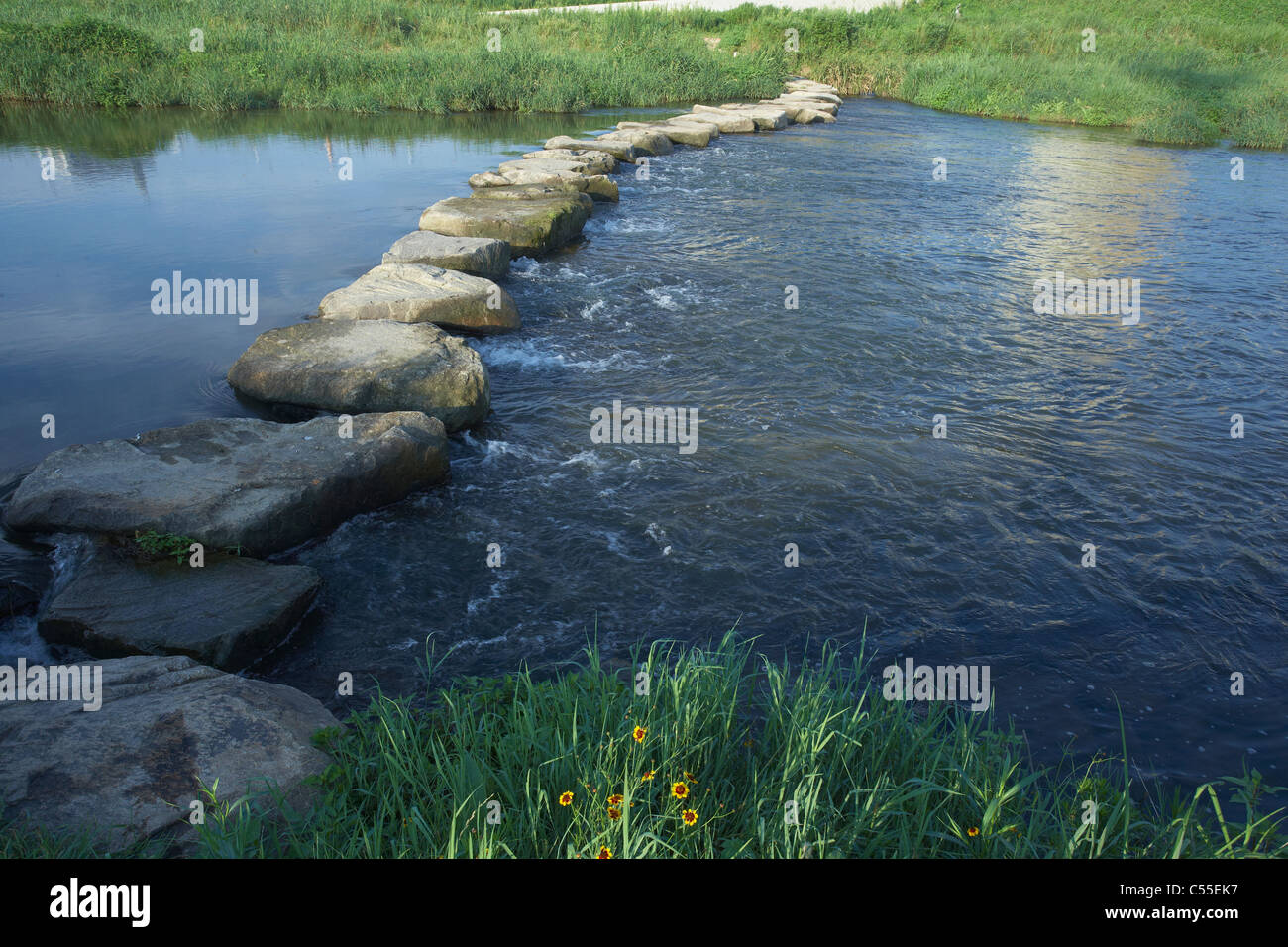 Steppingstones in the river Stock Photo - Alamy