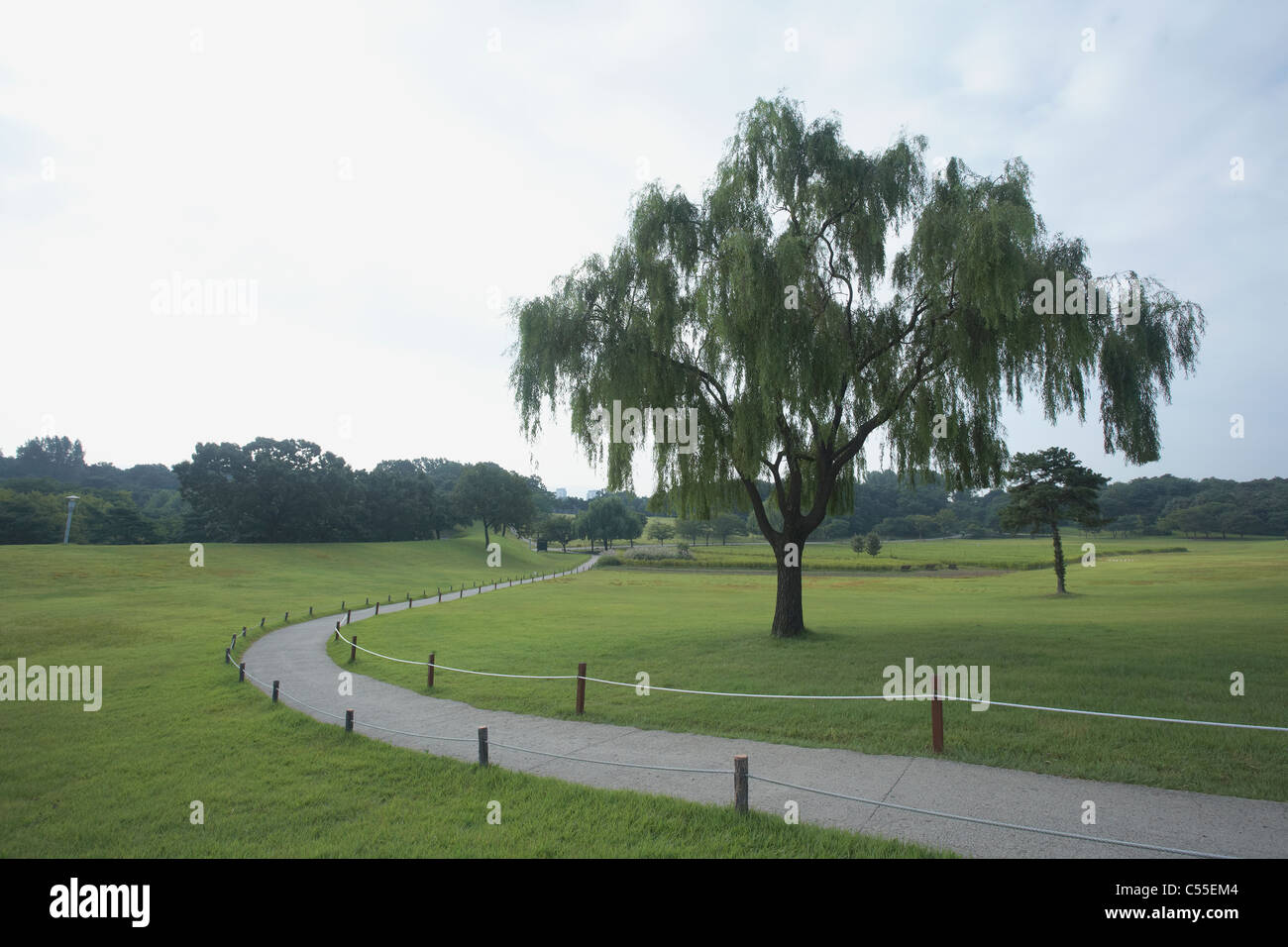 A path in the park Stock Photo - Alamy