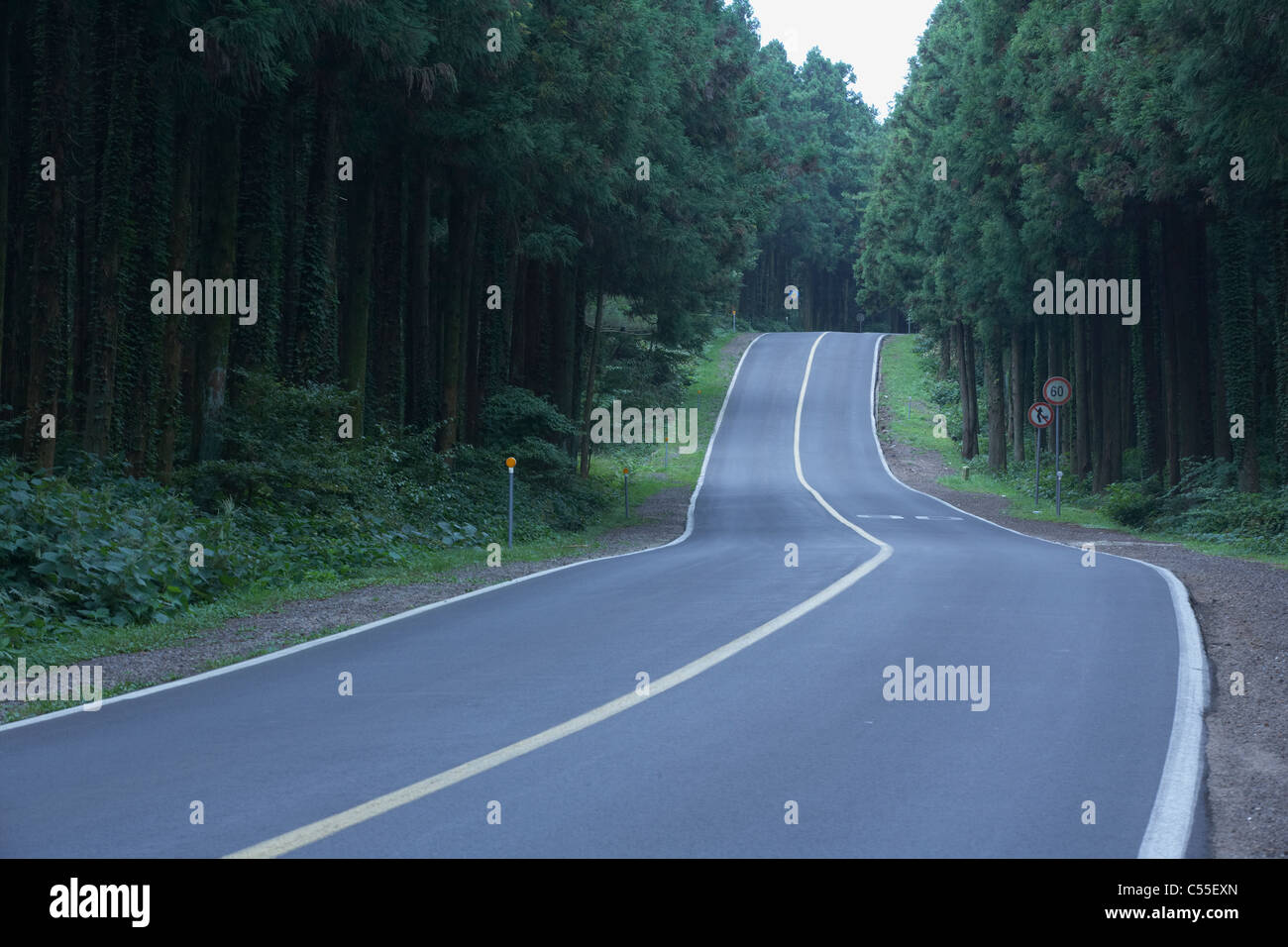 A road through forest Stock Photo - Alamy