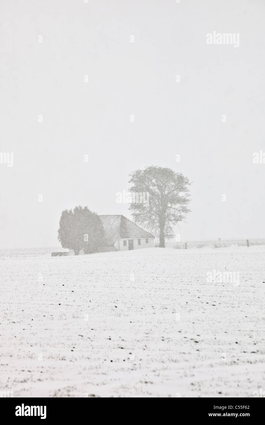 The Netherlands, Warffum, Little farm in snowstorm Stock Photo - Alamy