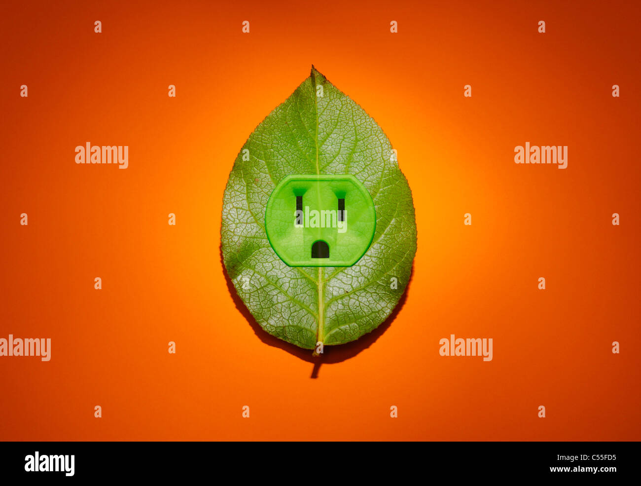 Green plant leaf with an electrical outlet on an orange background ...