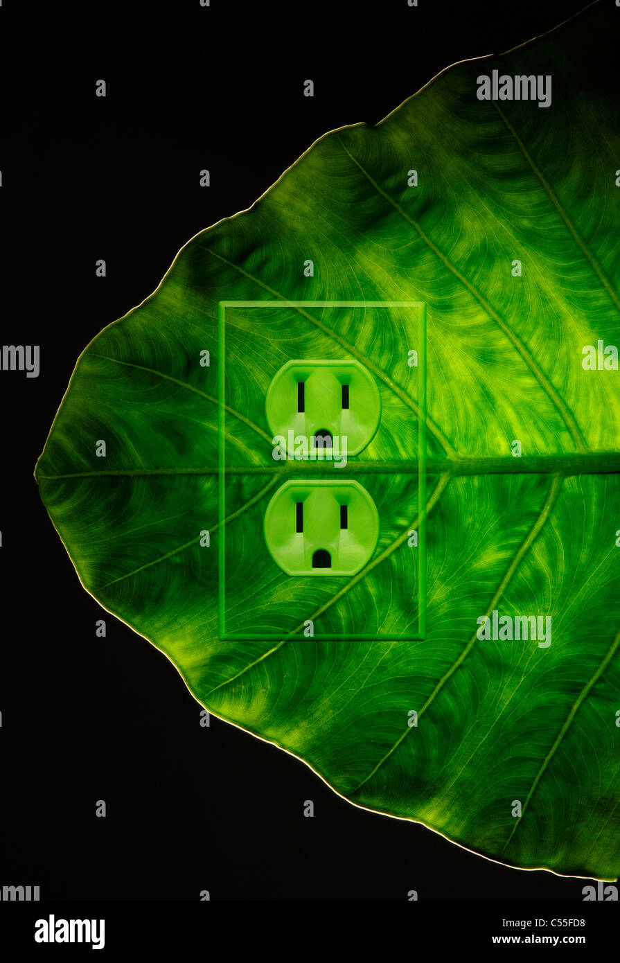 Green plant leaf with an electrical outlet Stock Photo - Alamy