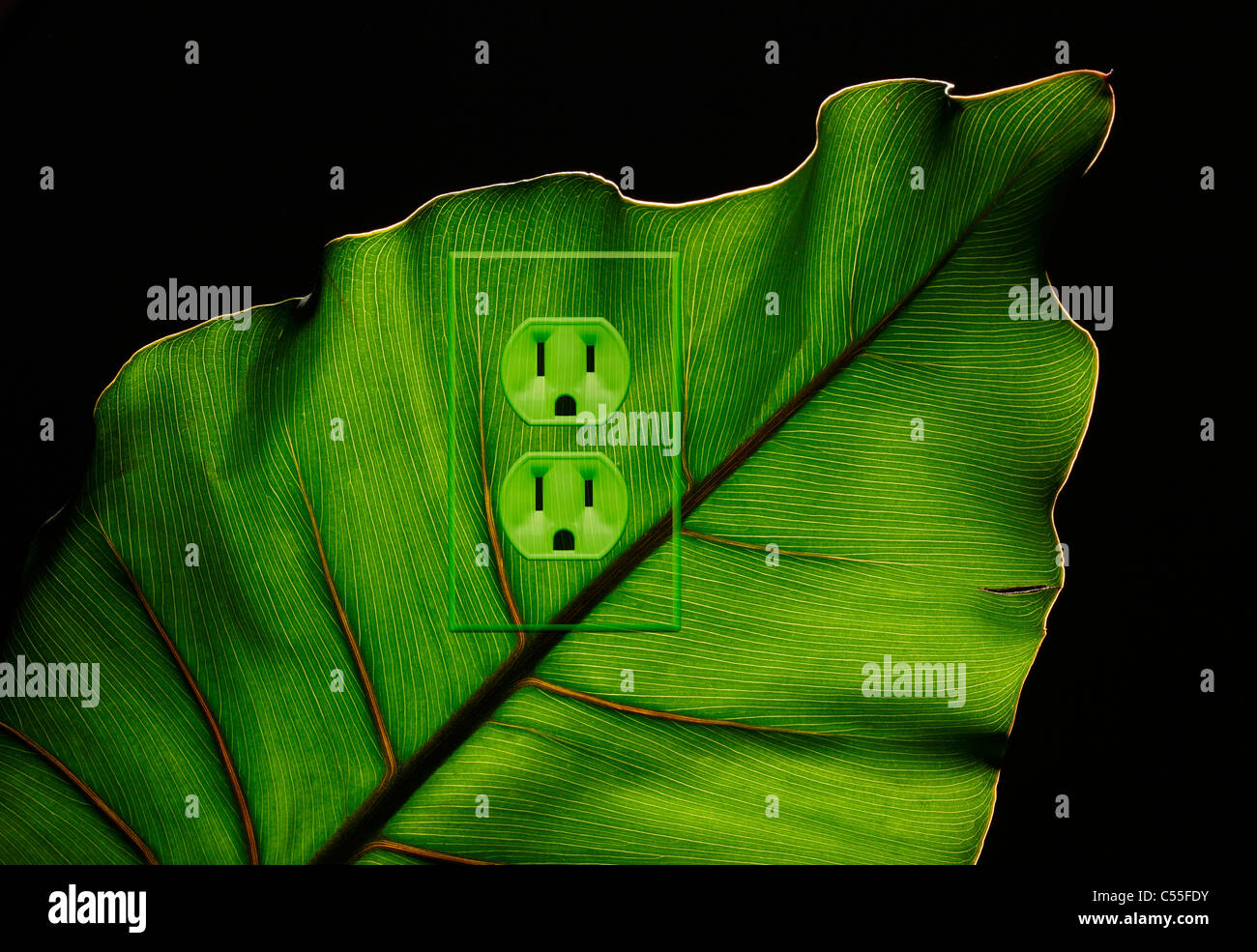 Green plant leaf with an electrical outlet Stock Photo - Alamy