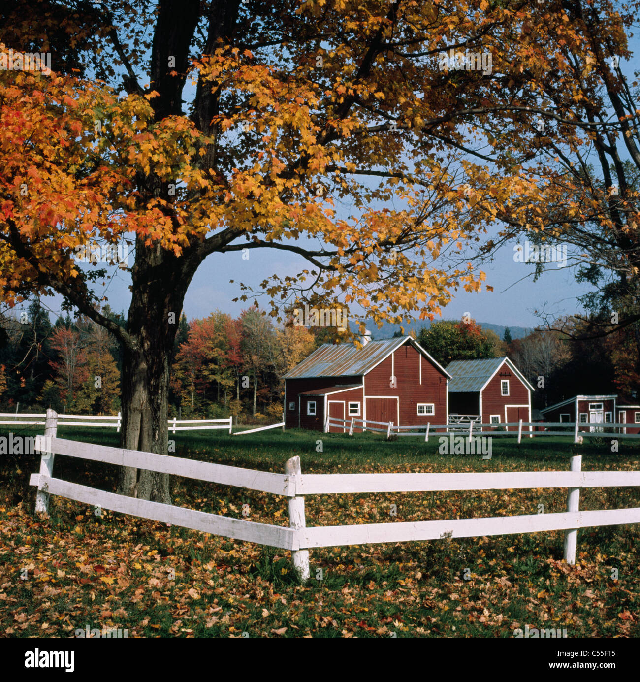 Chittenden vermont hi-res stock photography and images - Alamy