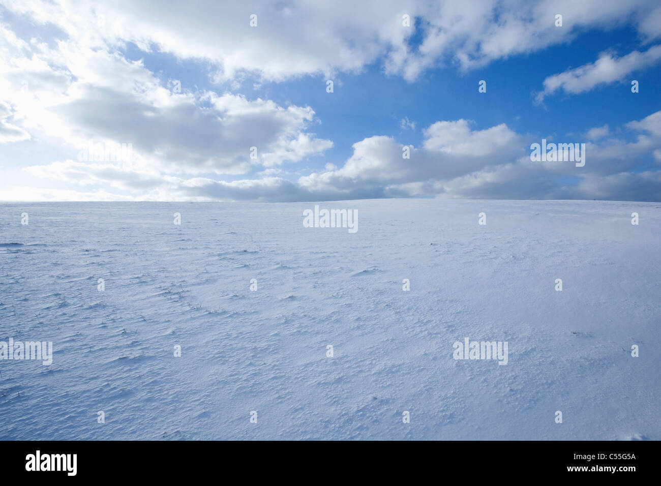 Under big snow hi-res stock photography and images - Alamy