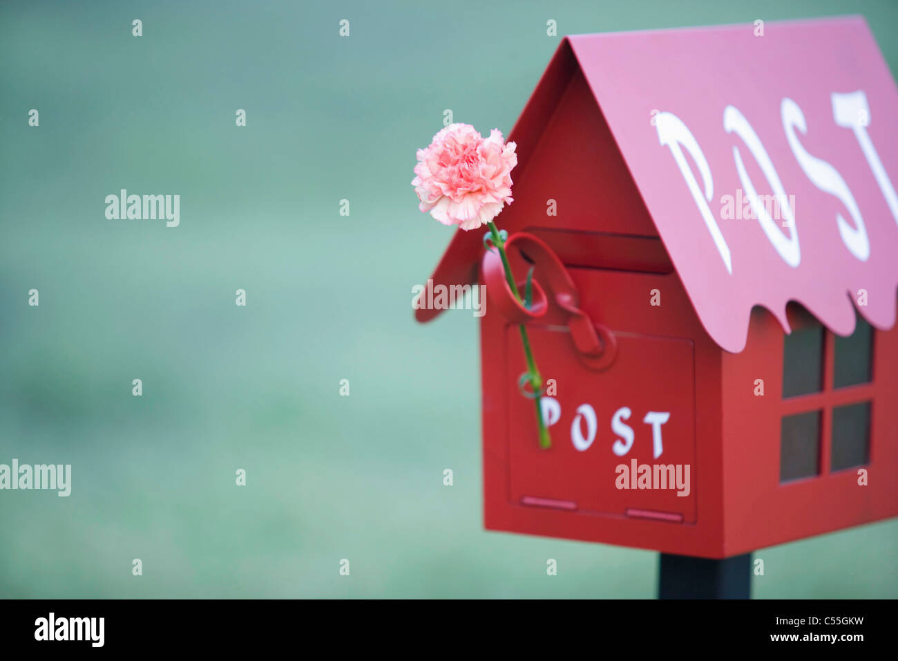rose attached to post box Stock Photo - Alamy