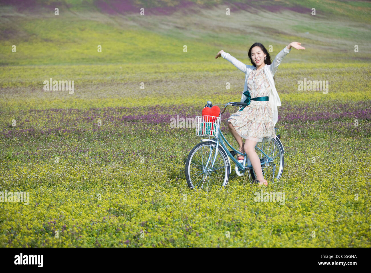 lady riding bicycle in the middle of the yellow flower field Stock ...