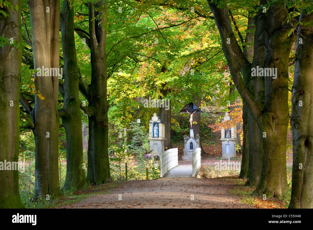 The Netherlands, Valkenburg, Roman catholic statues on estate and ...