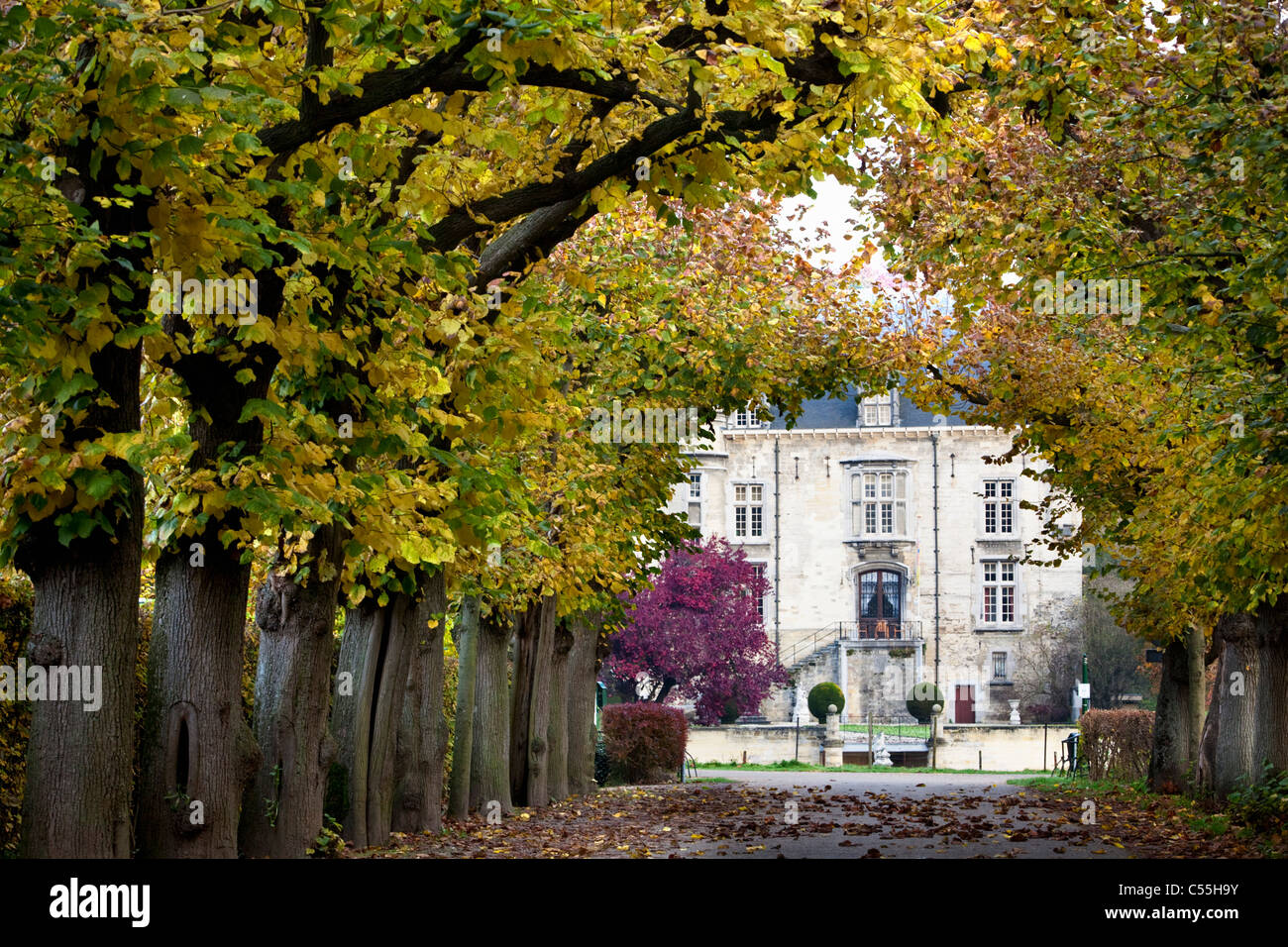The Netherlands, Valkenburg, Estate and castle called Schaloen Stock ...