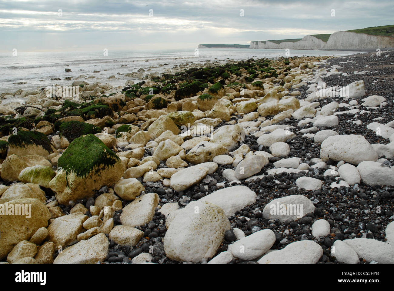 Beach, Birling Gap, Sussex, England Stock Photo - Alamy