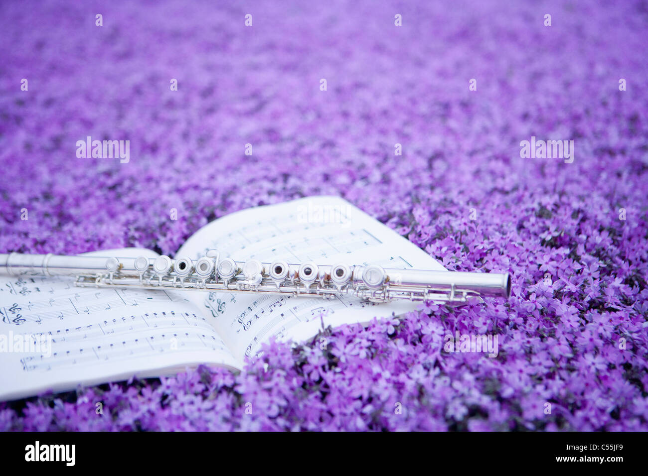 Flute flowers sheet music hi-res stock photography and images - Alamy
